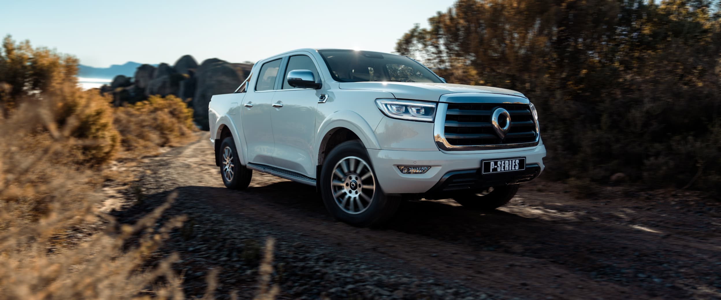 P-Series 2.0 LS - NMI GWM